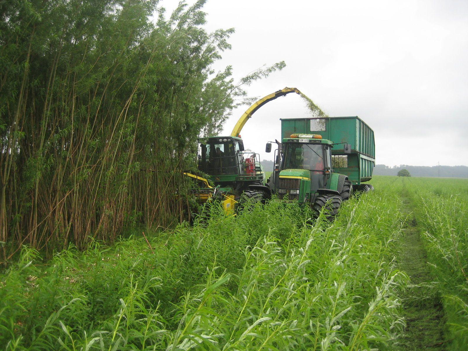 Envirocrops